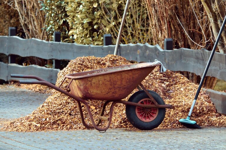 Bark Dust Vs Mulch for Landscaping: What's the Difference? - The ...