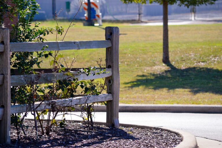 Bark Dust Vs Mulch for Landscaping: What's the Difference? - The ...