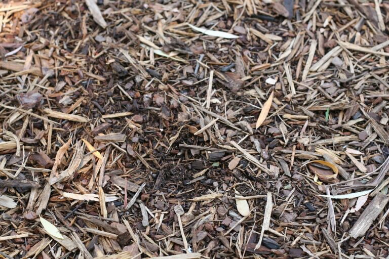 Bark Dust Vs Mulch for Landscaping: What's the Difference? - The ...