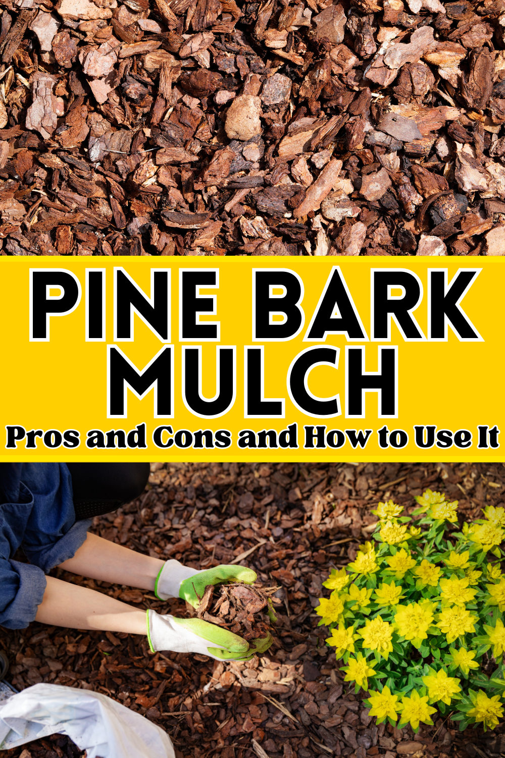 Pine Bark Mulch: Pros and Cons and How to Use It - The Homestead Hangout