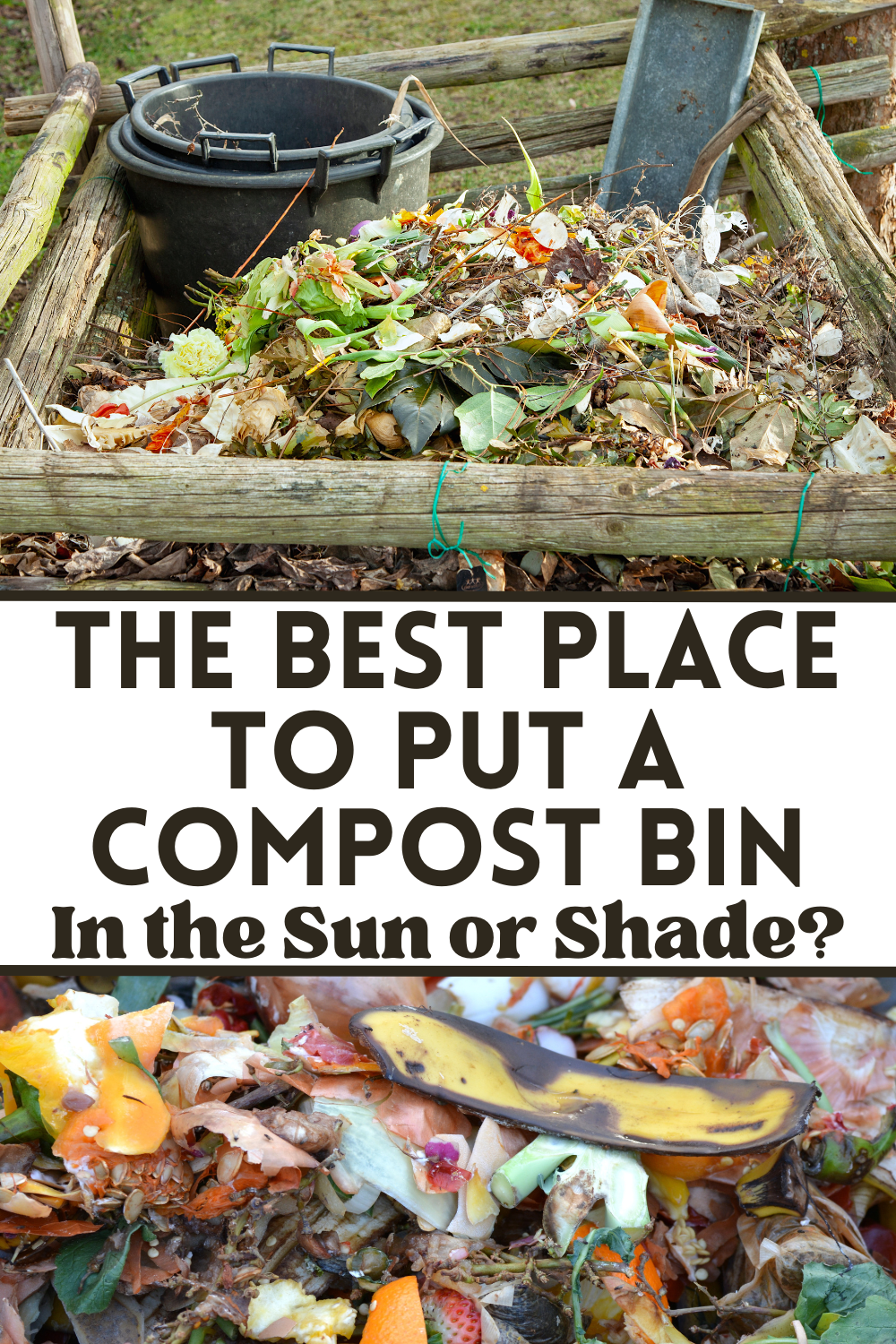 Should I Put My Compost Bin in the Sun or Shade? - The Homestead Hangout