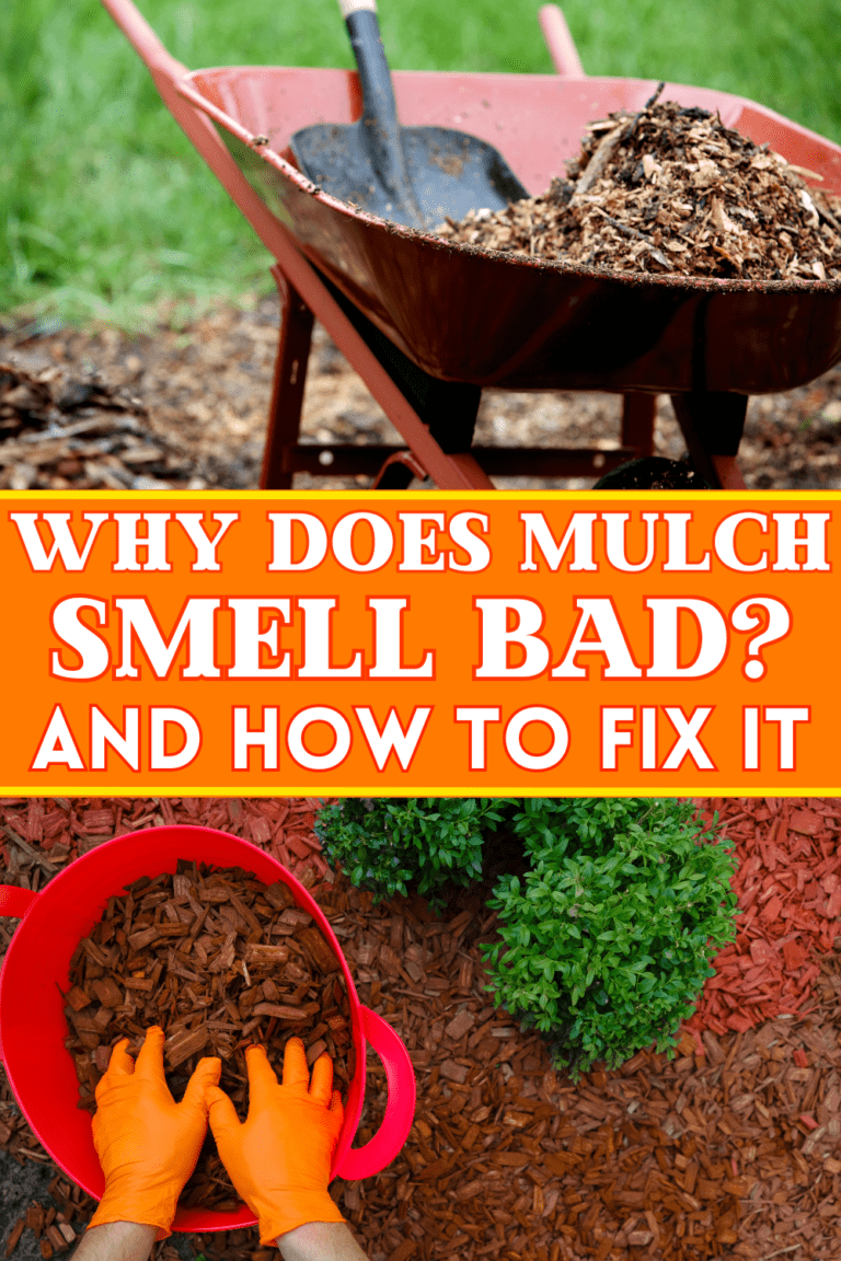 Why Does Mulch Smell so Bad (And How to Fix It) - The Homestead Hangout