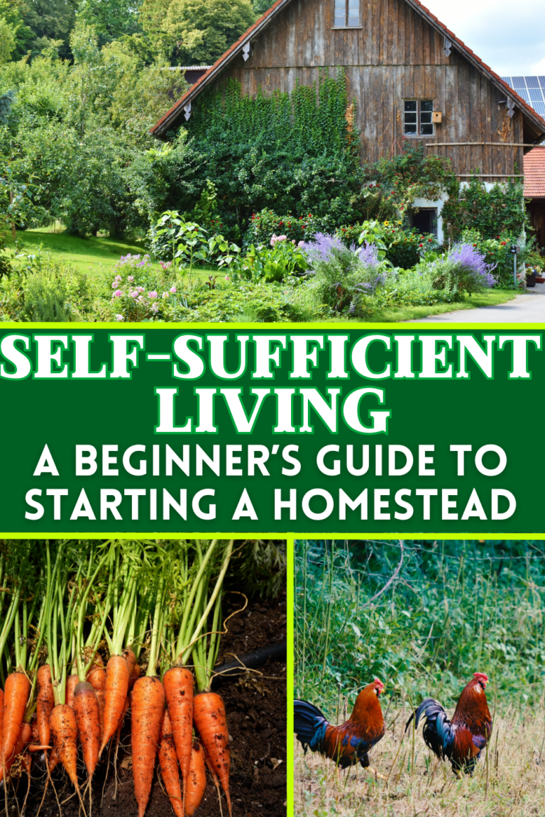 Self Sufficient Homesteading: A Beginner's Guide - The Homestead Hangout