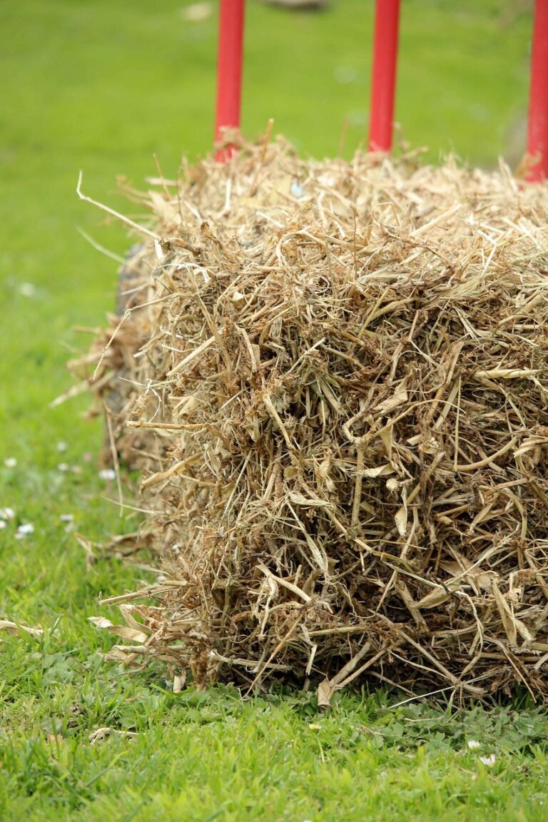 Using Hay as Mulch for Your Garden: Pros and Cons - The Homestead Hangout