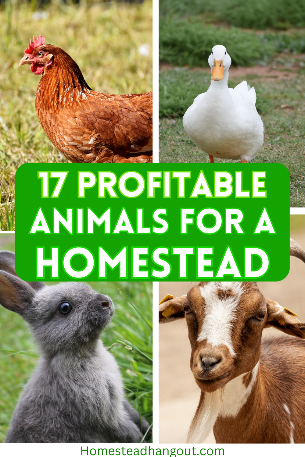 17 Best Homesteading Animals for Self-Sufficiency - The Homestead Hangout