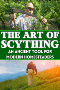 The Art of Scything: An Ancient Tool for Modern Homesteaders - The ...