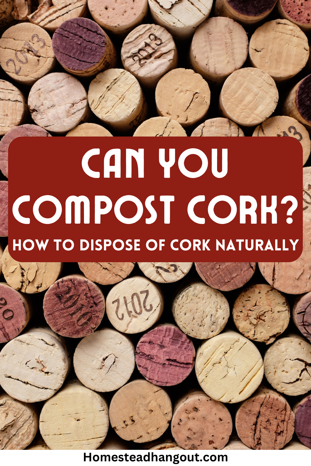 Can You Compost Cork? Natural Wine Cork Disposal - The Homestead Hangout