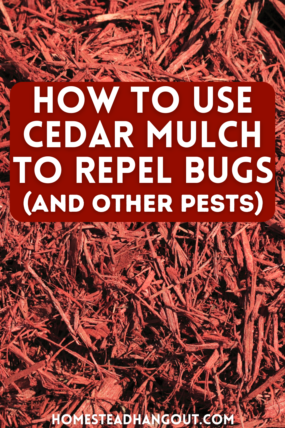 How to Use Cedar Mulch to Repel Bugs and Other Pests? - The Homestead ...