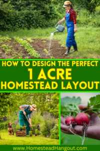 How to Start a 1 Acre Homestead: Layout and Becoming Self Sufficient ...