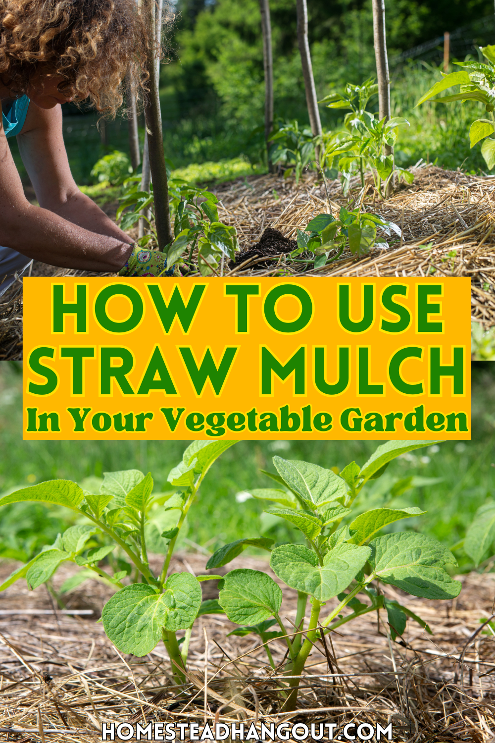 Using Straw for Mulch in a Vegetable Garden: Pros and Cons - The ...