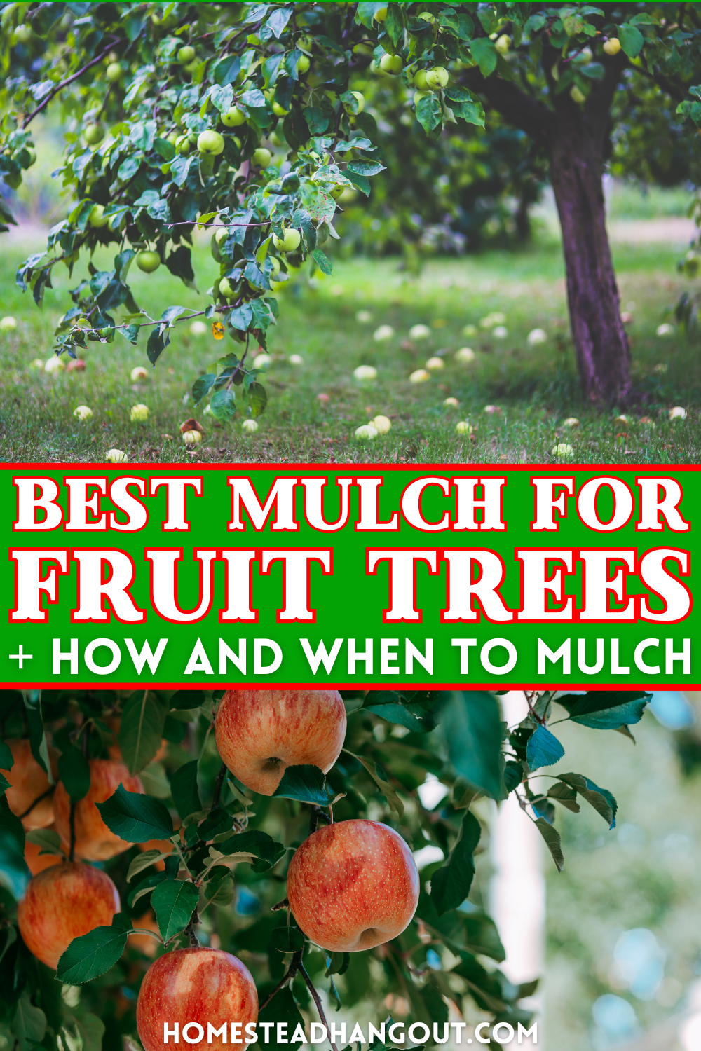 The Best Mulch for Fruit Trees + How and When to Mulch - The Homestead ...