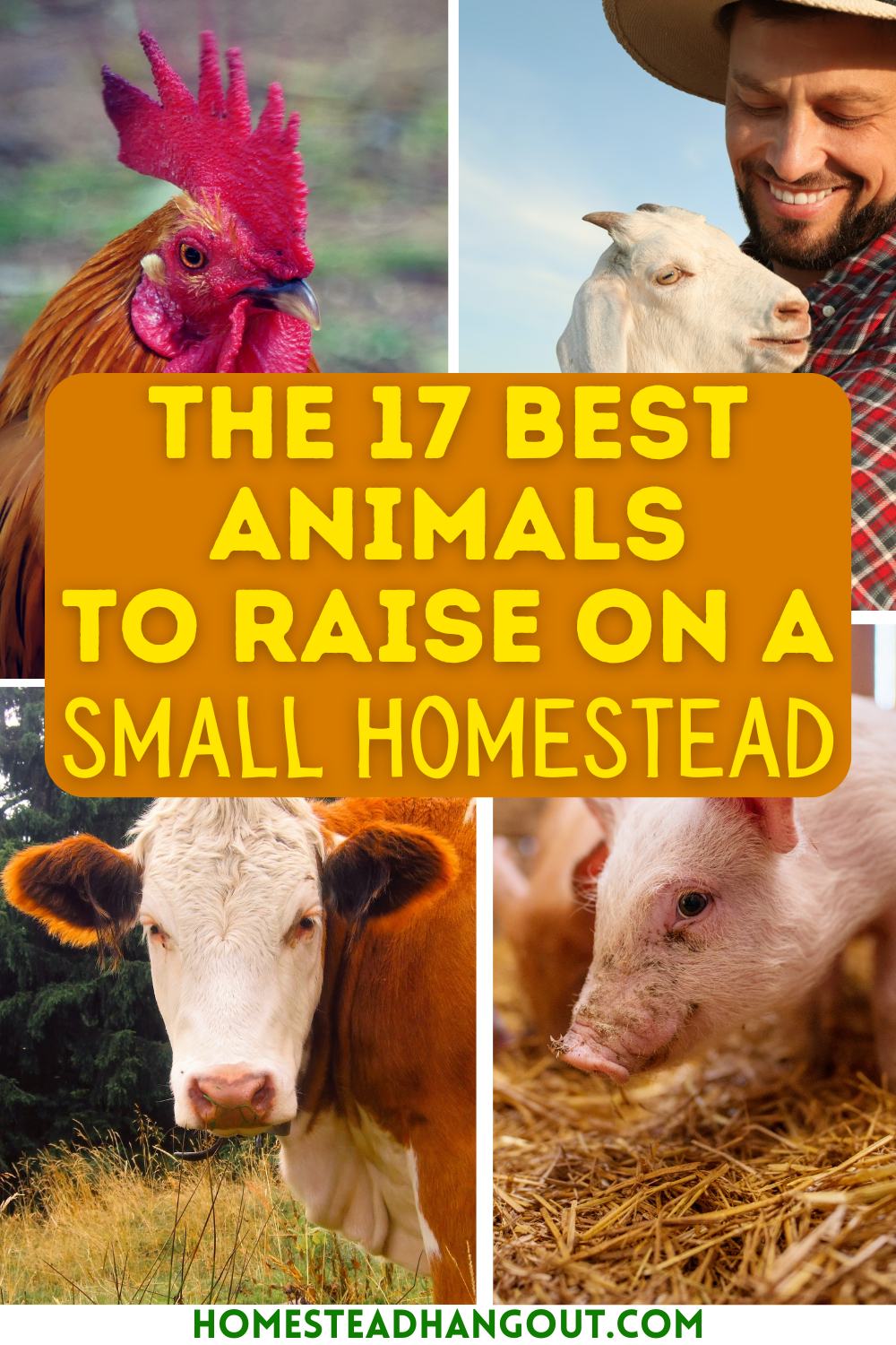 17 Best Homesteading Animals for Self-Sufficiency - The Homestead Hangout