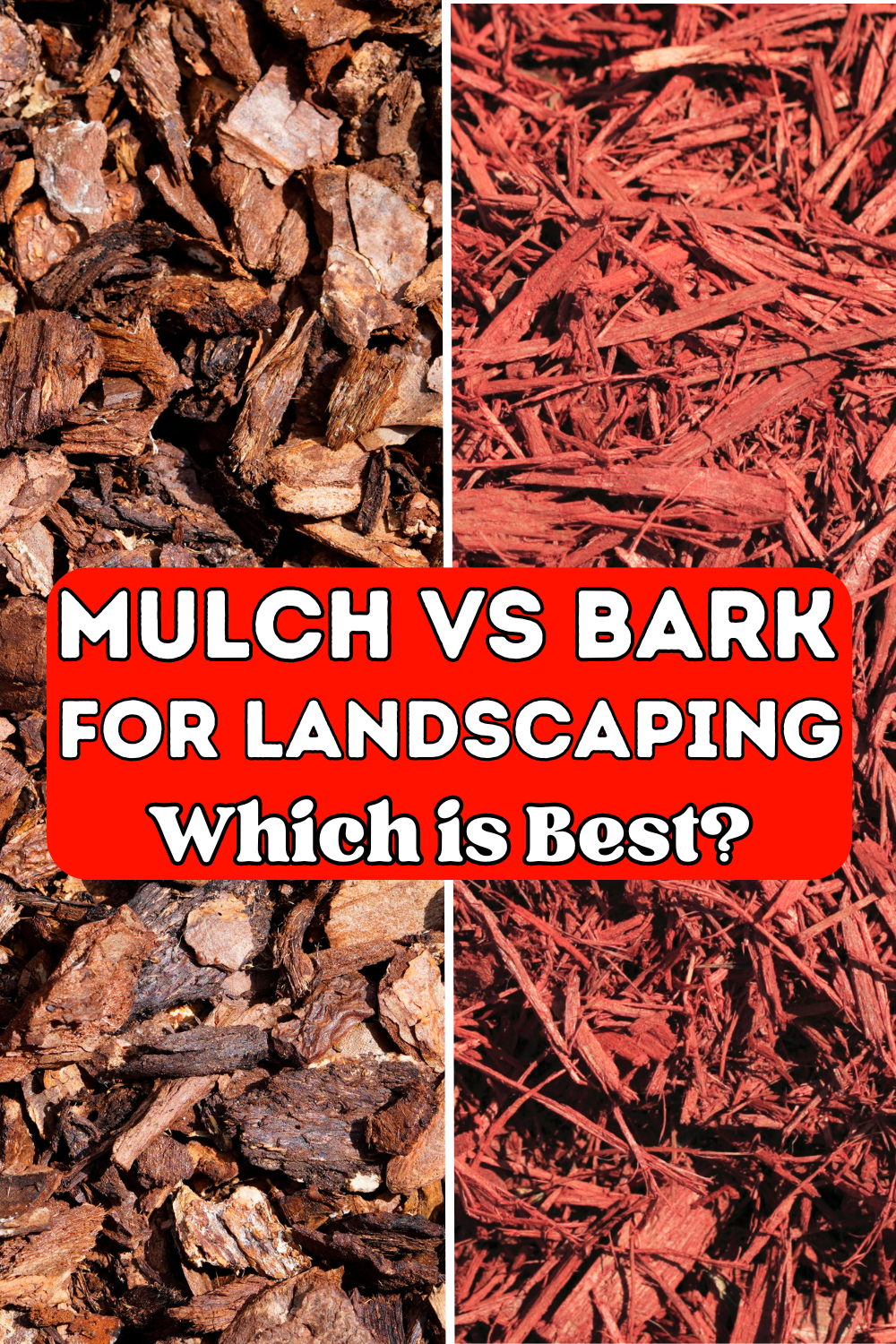 Mulch Vs Bark: What's the Difference and Which is Best? - The Homestead ...