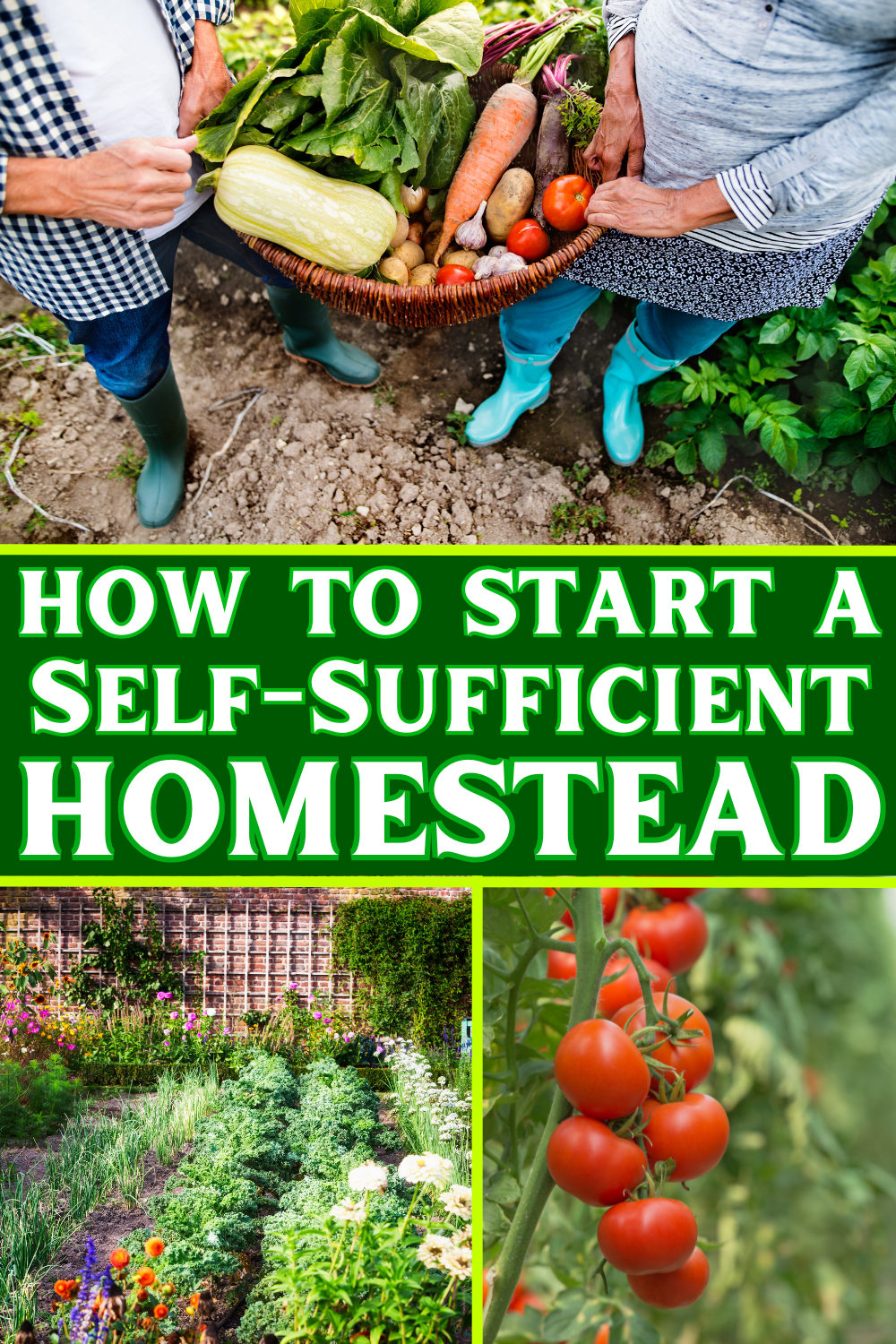 Self Sufficient Homesteading: A Beginner's Guide - The Homestead Hangout