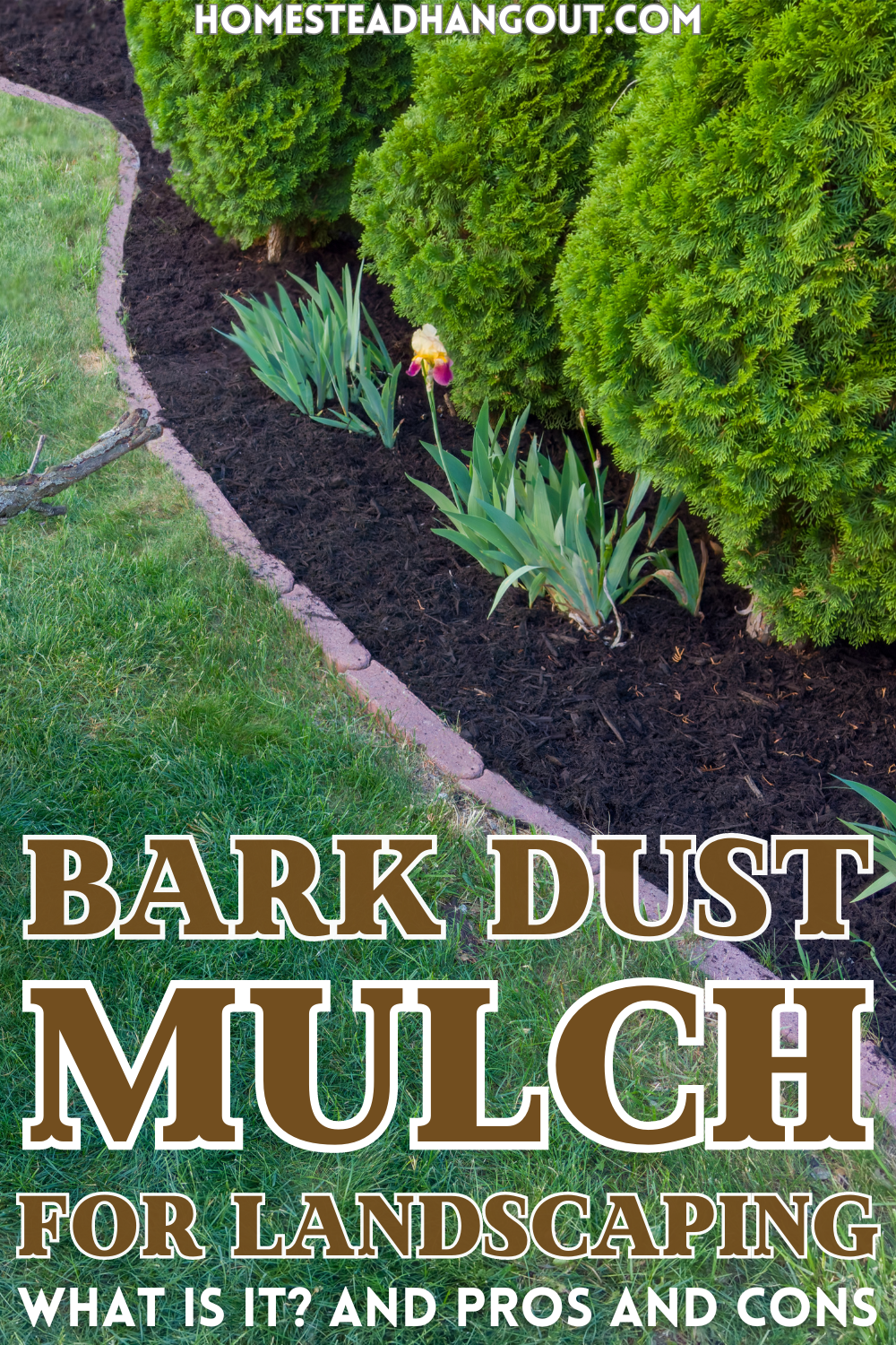 Bark Dust Vs Mulch for Landscaping: What's the Difference? - The ...