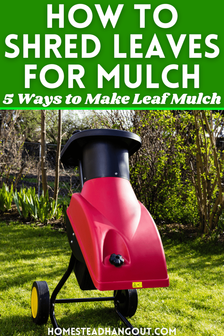 How to Shred Fallen Leaves for Mulch: 5 Options - The Homestead Hangout