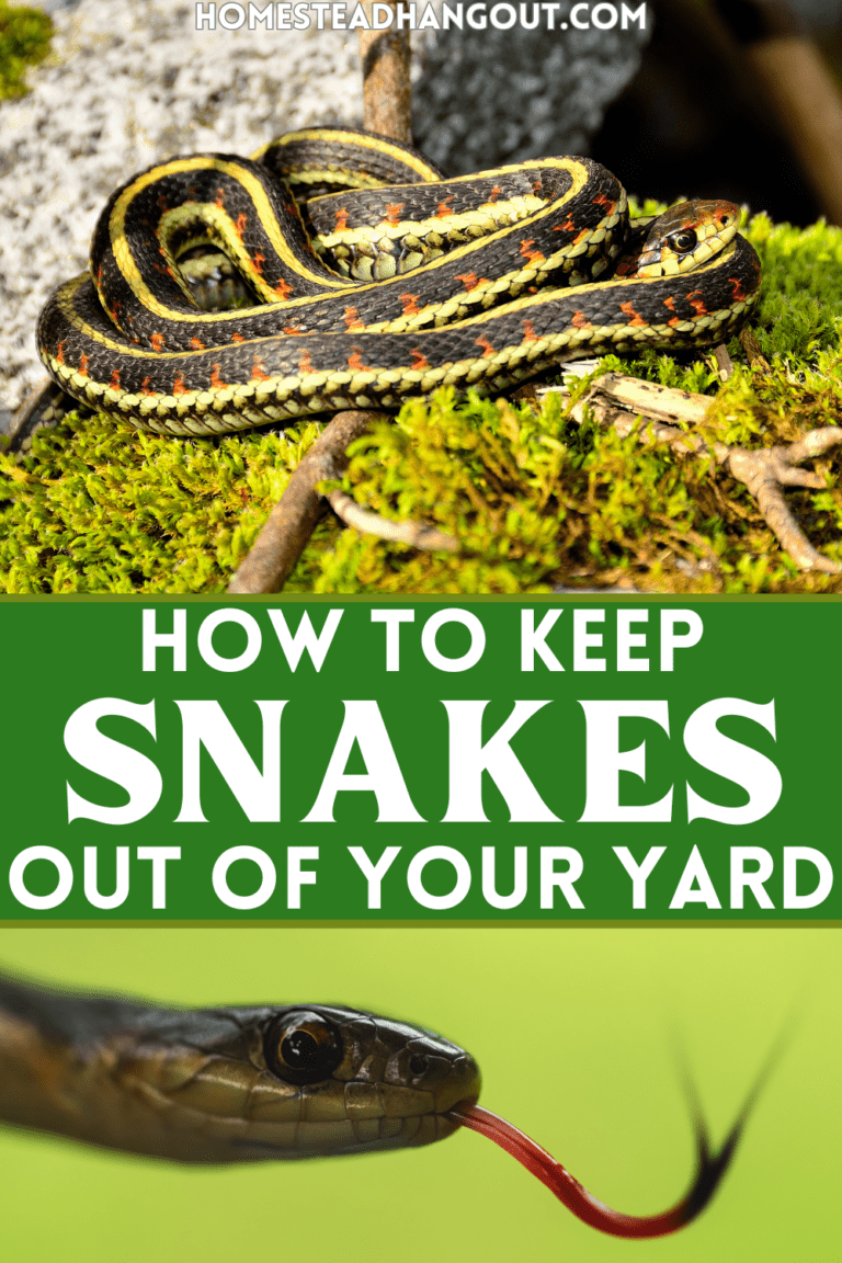 The Best Mulch to Keep Snakes Away From Your Yard - The Homestead Hangout