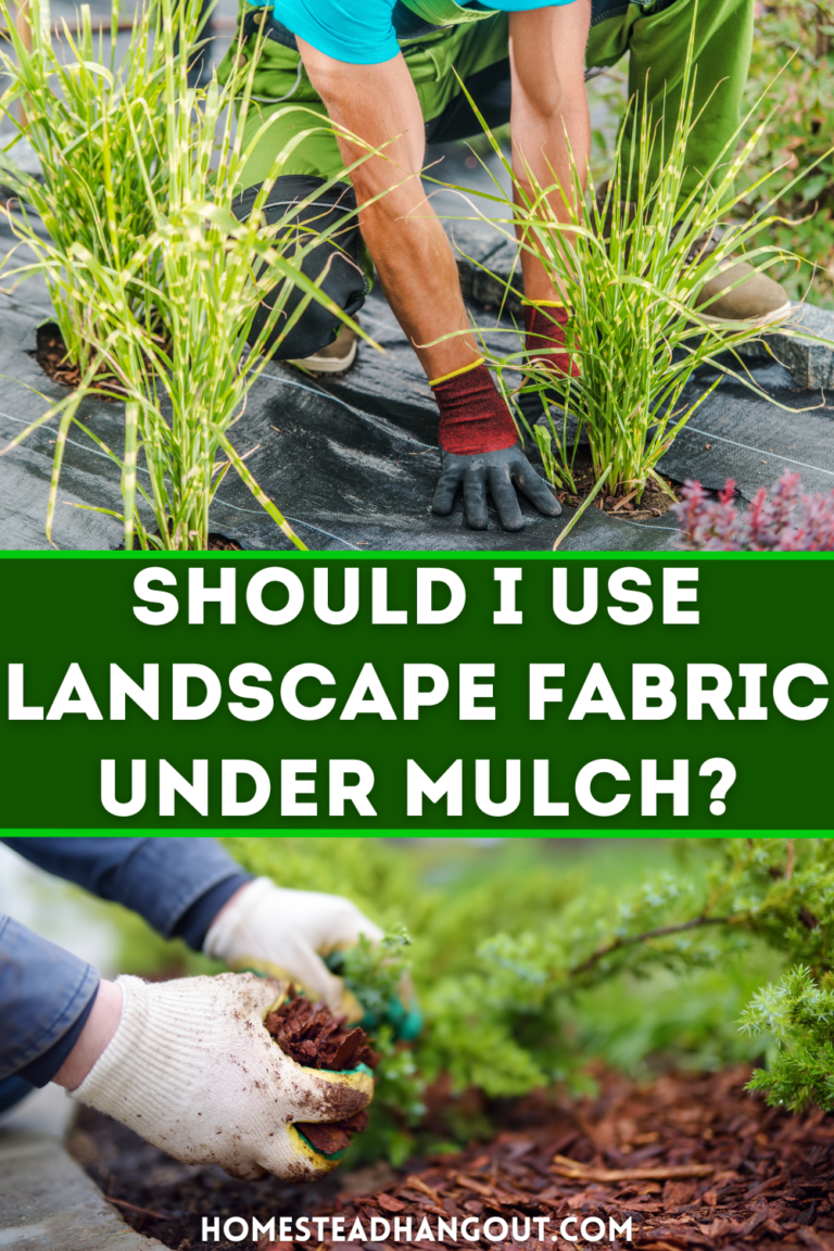 Should I Use Landscape Fabric Under Mulch? Pros and Cons - The ...