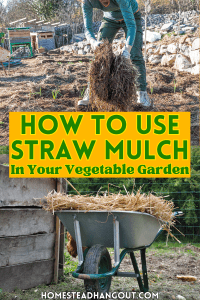 Using Straw for Mulch in a Vegetable Garden: Pros and Cons - The ...