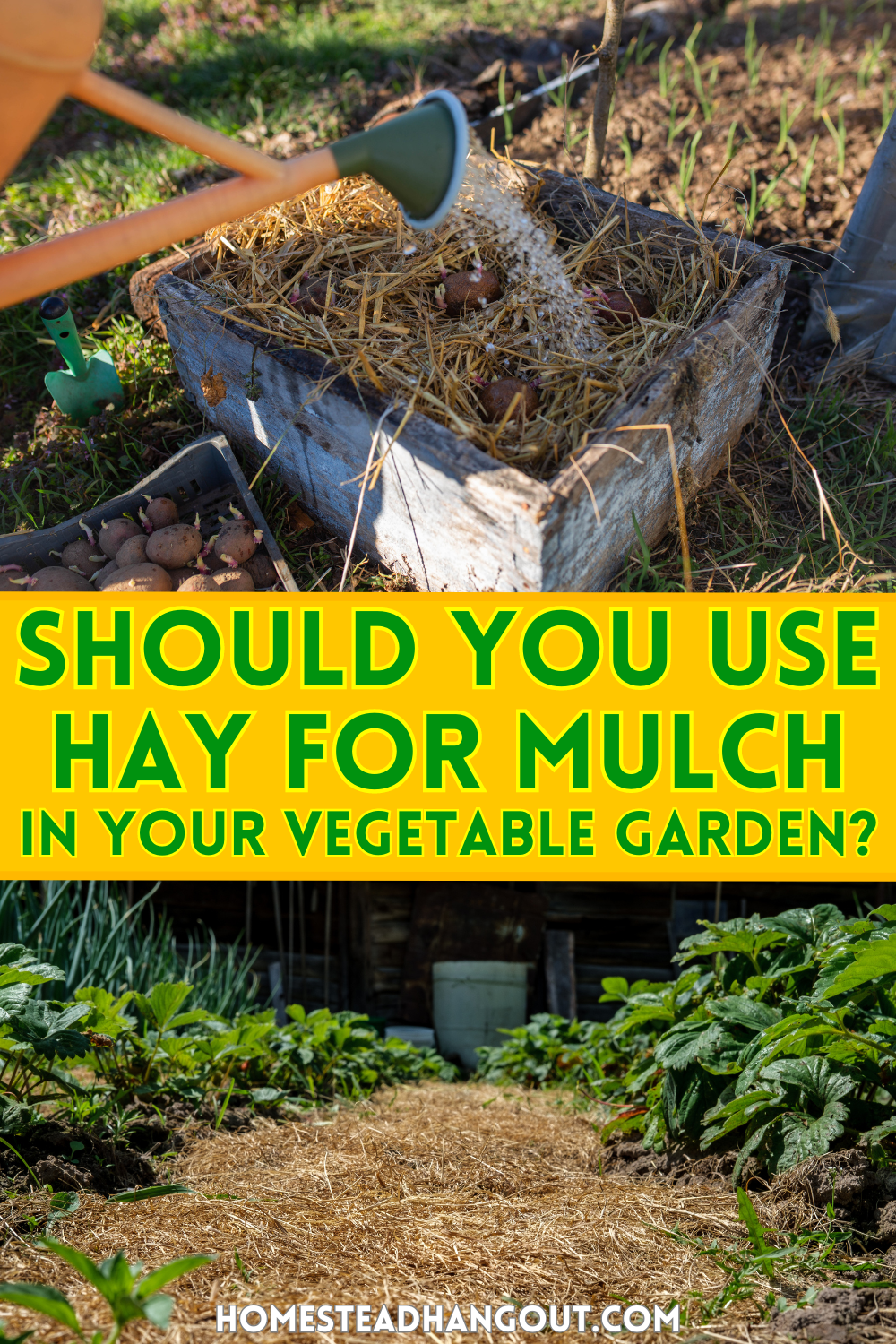 Using Hay as Mulch for Your Garden: Pros and Cons - The Homestead Hangout