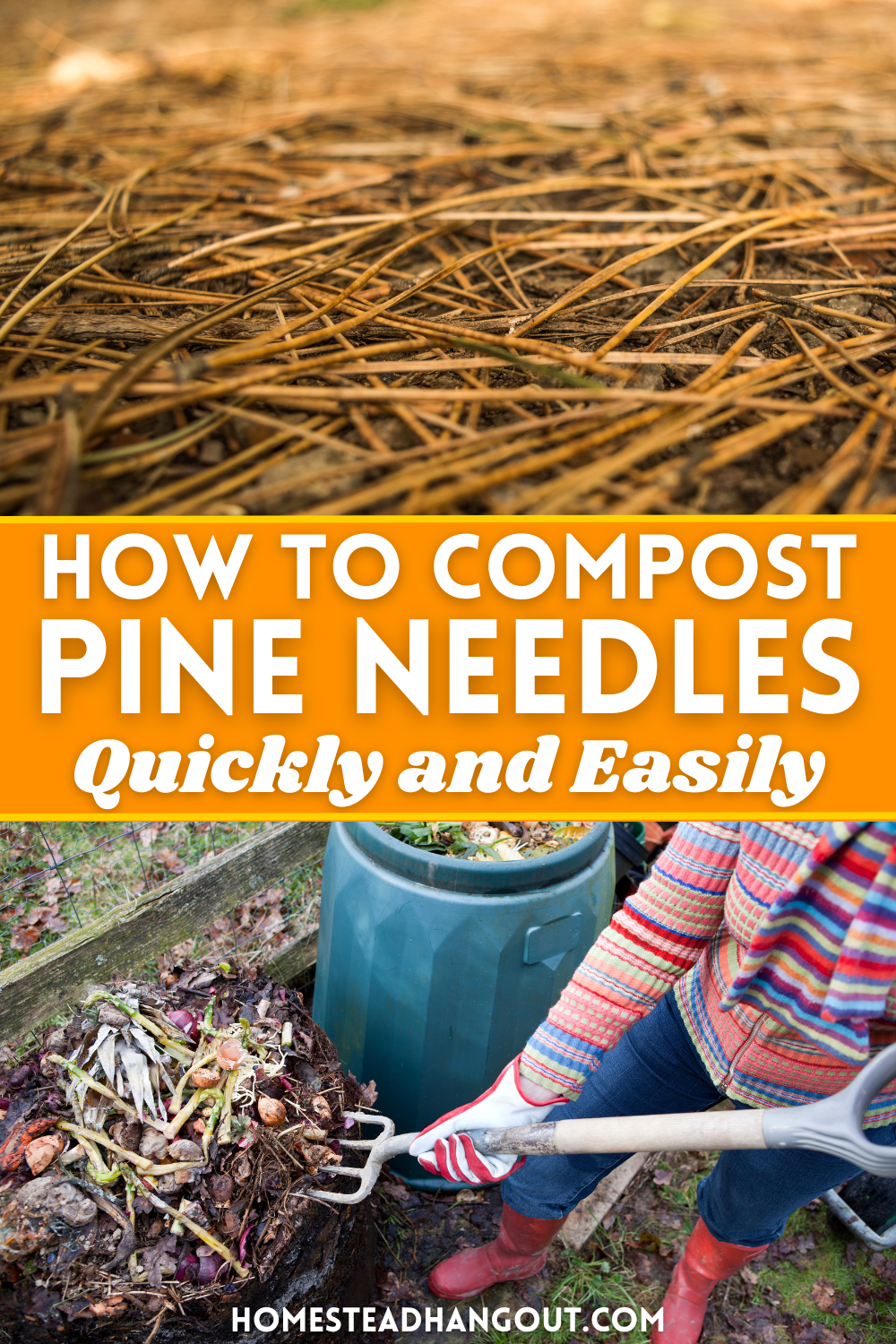 How to Compost Pine Needles and Use Them as Mulch - The Homestead Hangout