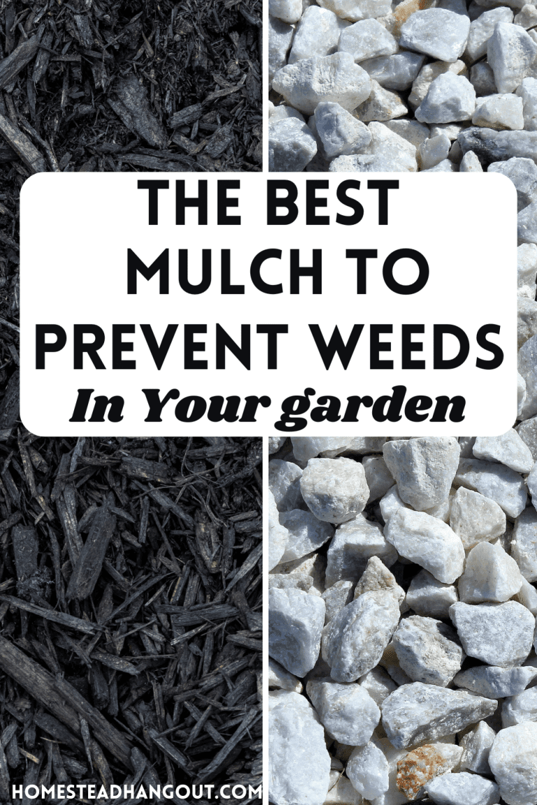 What is the Best Mulch to Prevent Weeds in Your Garden? - The Homestead ...