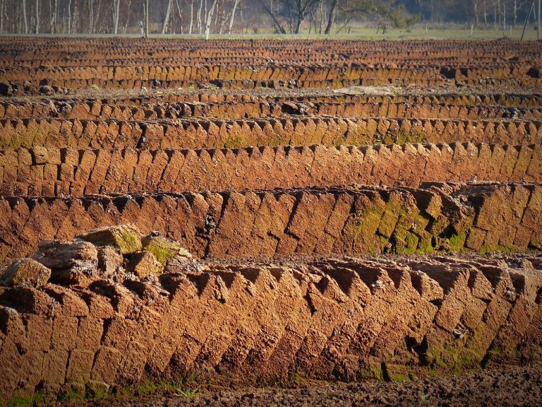 Does Peat Moss Make Soil Acidic + Pros and Cons - The Homestead Hangout