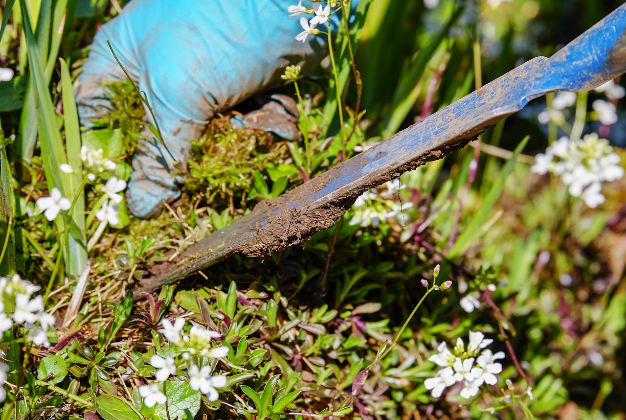 What is the Best Mulch to Prevent Weeds in Your Garden? - The Homestead ...