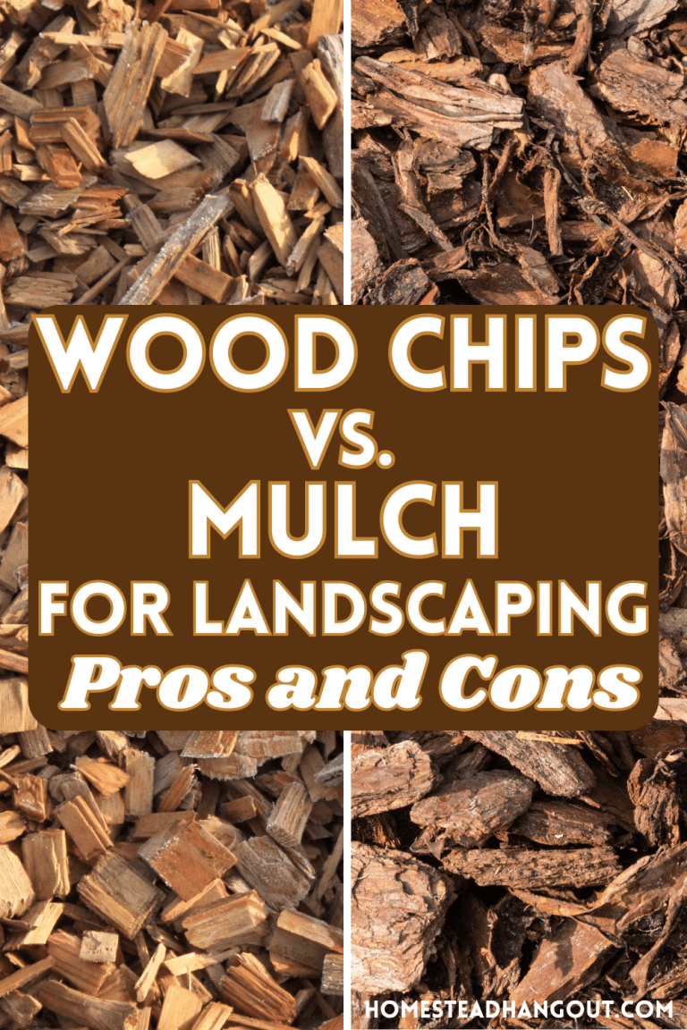Wood Chips Vs Mulch: What's the Difference and Pros and Cons - The ...